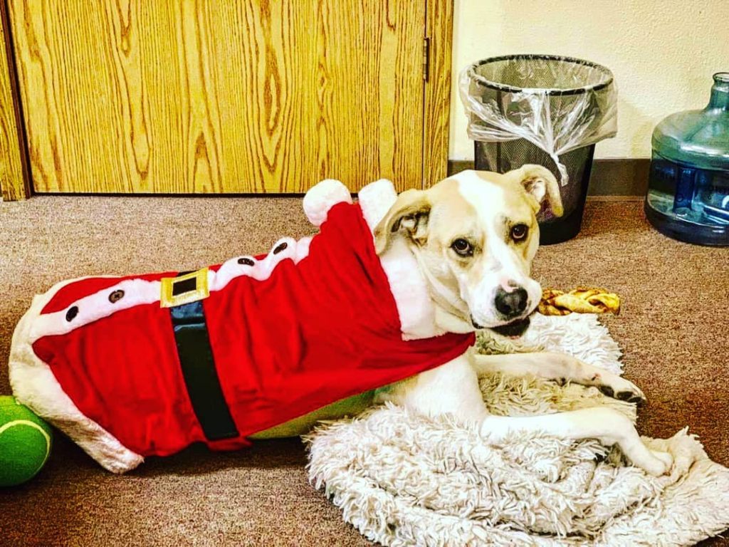 Our Team – Blue Sky Insurance Consultants